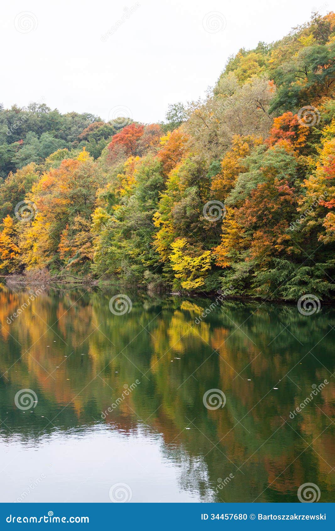 Beautiful Autumn Colors in the Trees Stock Photo - Image of background ...