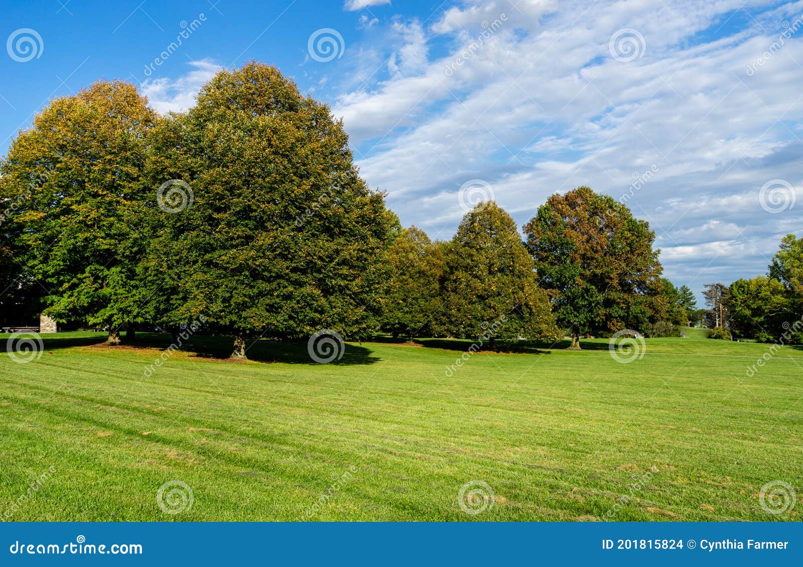 Beautiful Autumn Day in a Park Setting Stock Photo - Image of park ...
