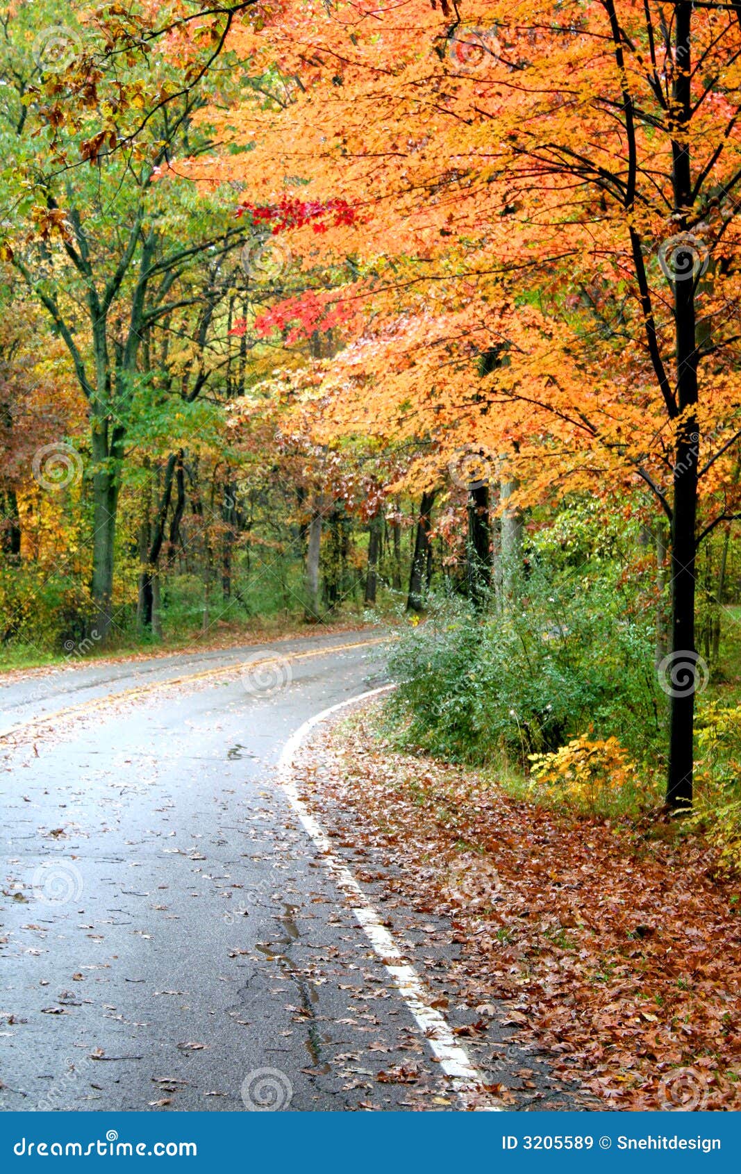 Beautiful Autumn Drive stock image. Image of landscape - 3205589