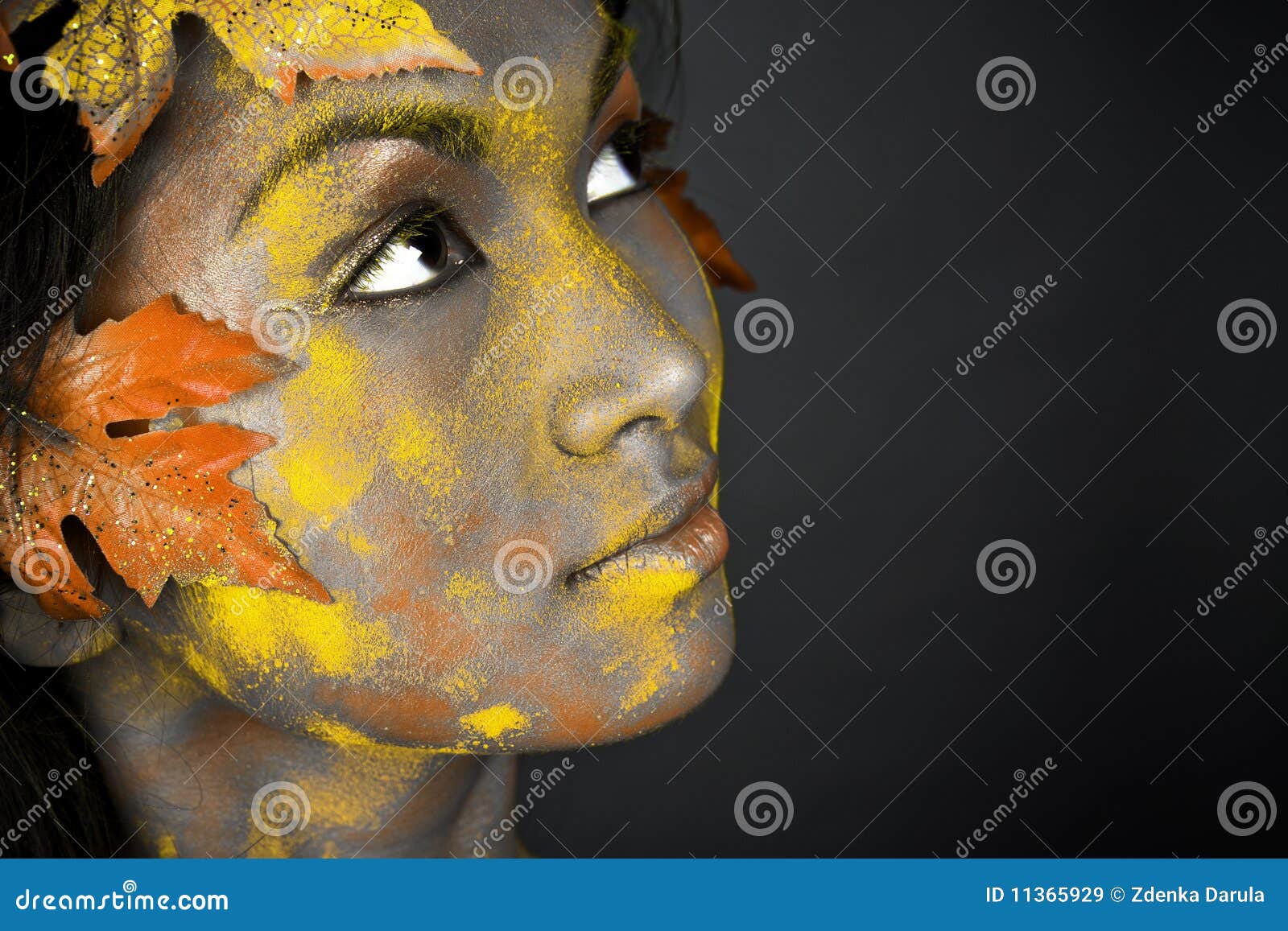 Beautiful autumn face stock image. Image of attractive - 11365929