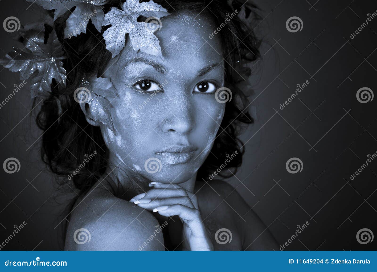 Beautiful autumn face stock photo. Image of female, glamour - 11649204