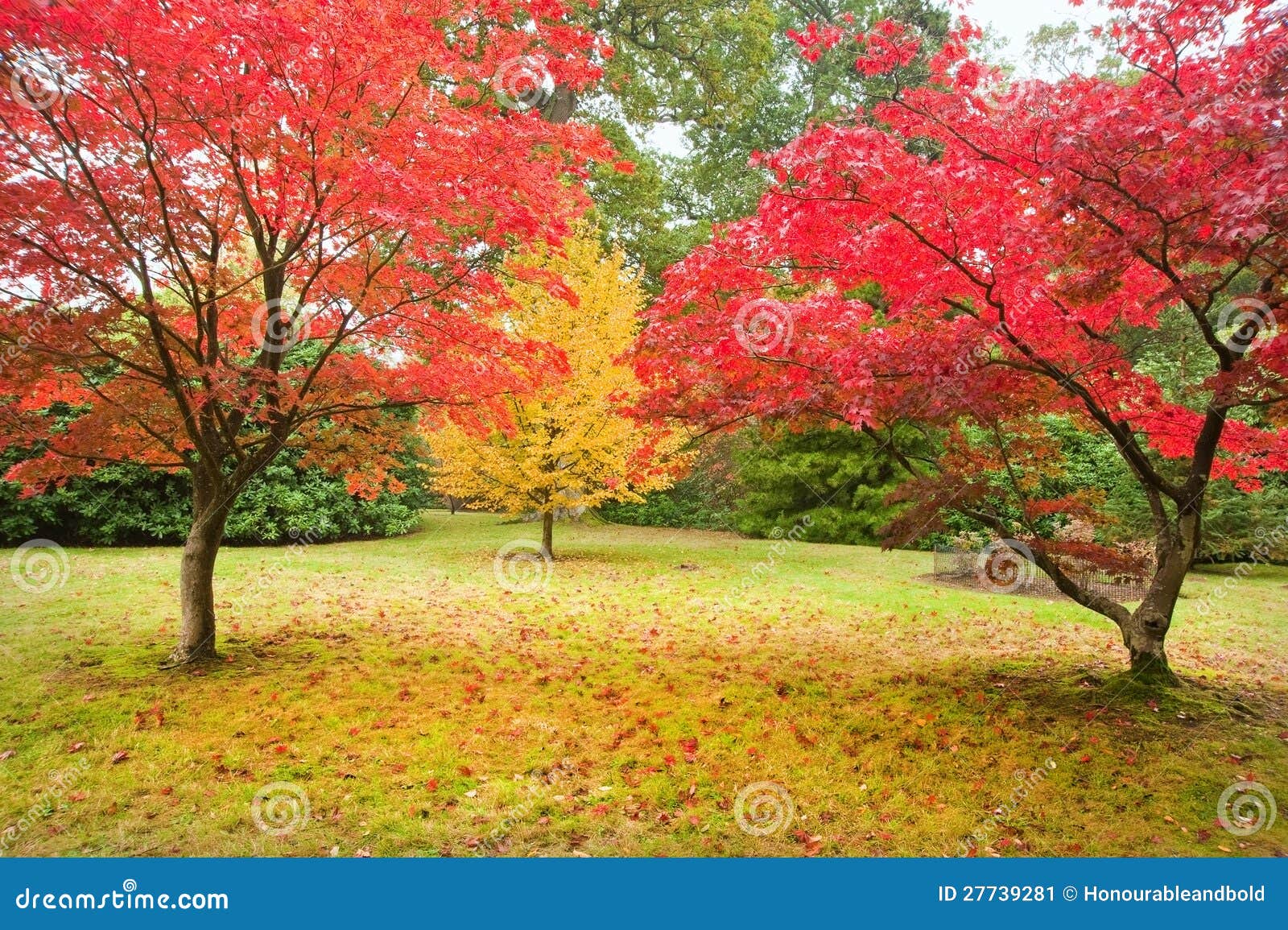 Beautiful Autumn Fall Nature Image Landscape Stock Image - Image of ...
