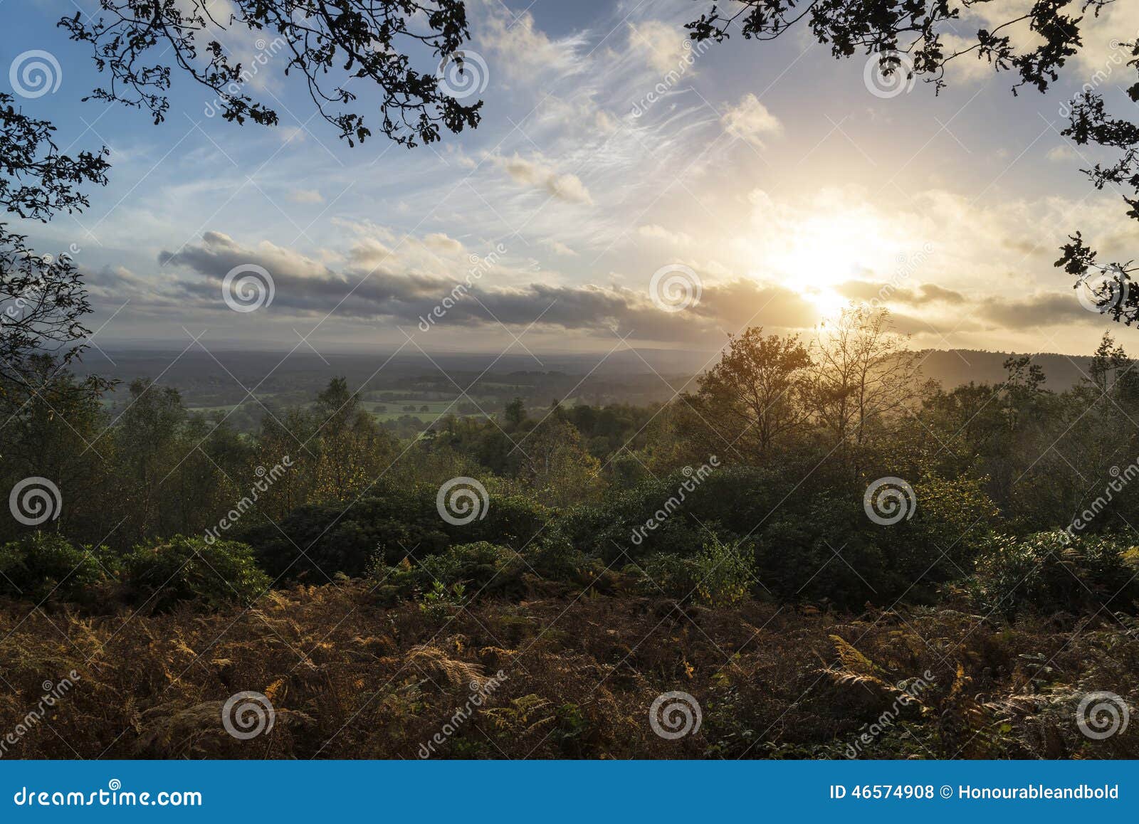 Beautiful Autumn Fall Sunset Over Forest Landscape with Moody Dr Stock ...