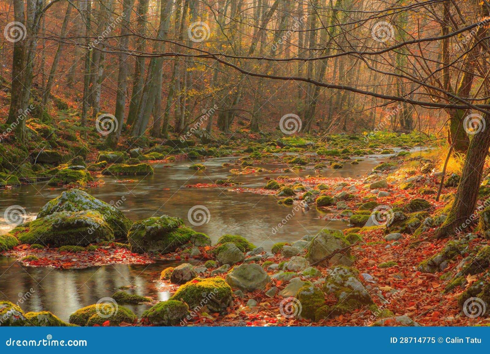 Beautiful Autumn Foliage and Mountain Stream in the Forest Stock Image ...