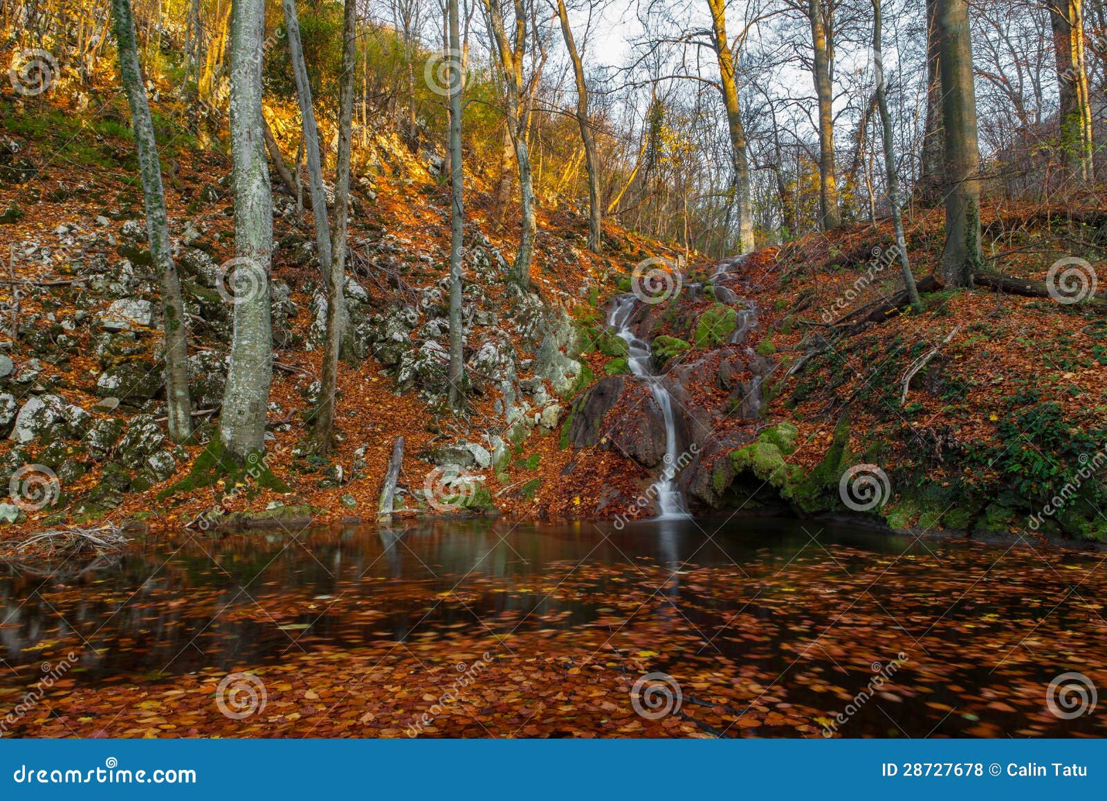Beautiful Autumn Foliage and Mountain Stream in the Forest Stock Photo ...