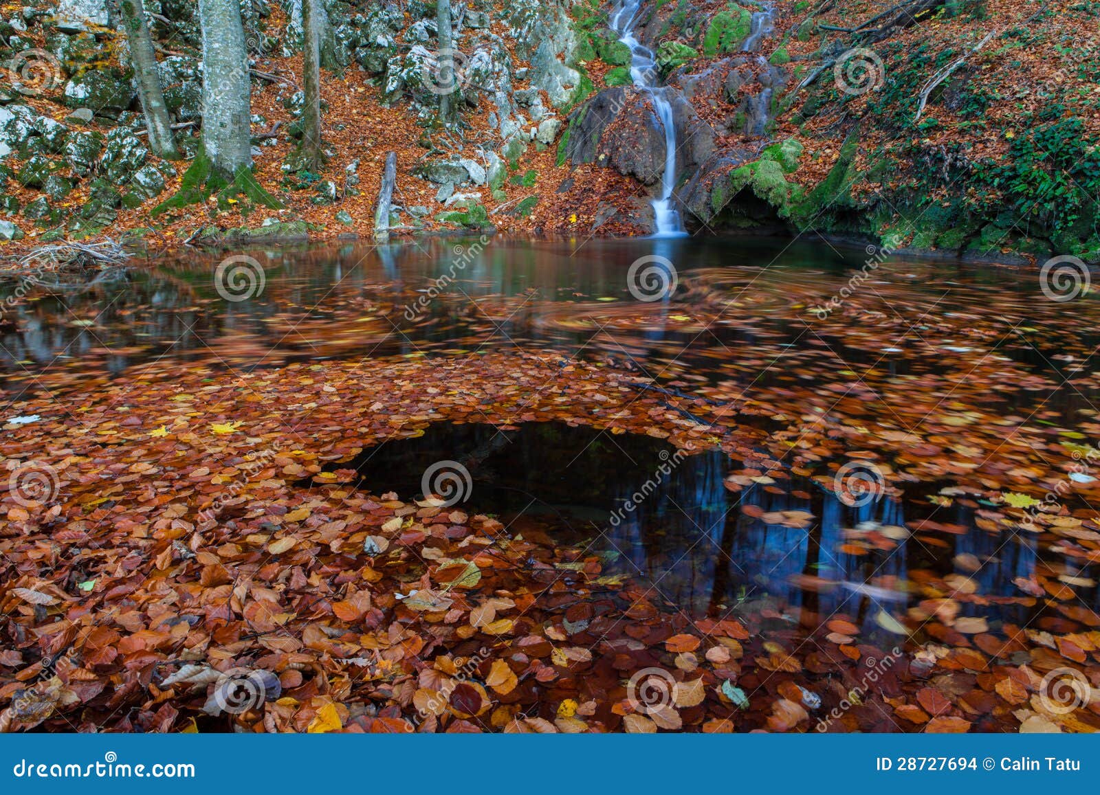 Beautiful Autumn Foliage and Mountain Stream in the Forest Stock Photo ...