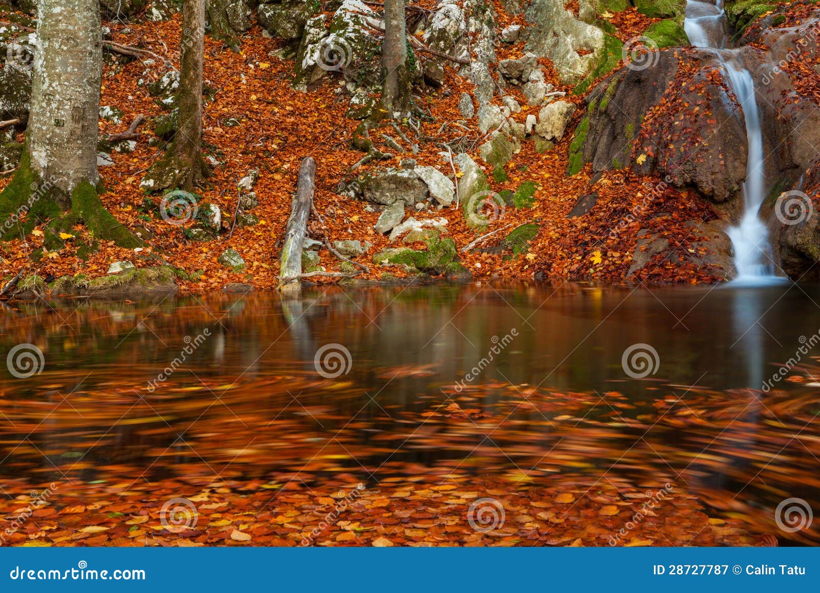Beautiful Autumn Foliage and Mountain Stream in the Forest Stock Image ...