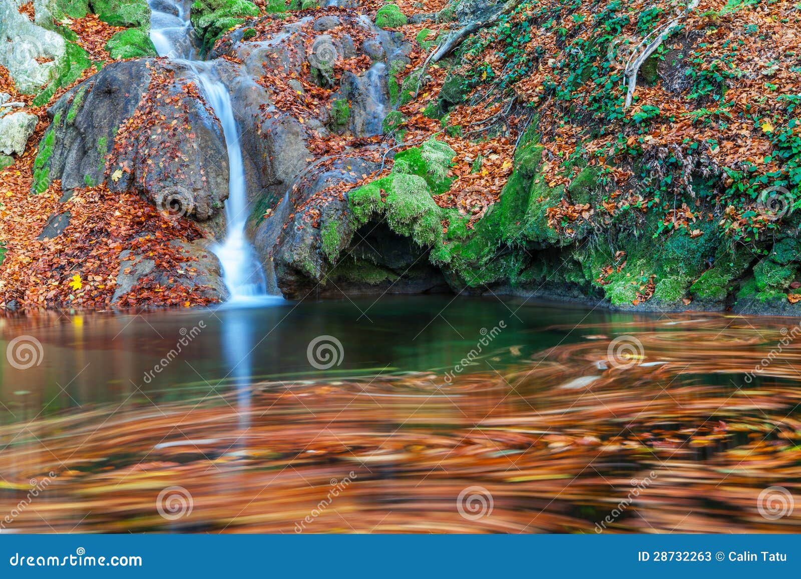 Beautiful Autumn Foliage and Mountain Stream in the Forest Stock Image ...
