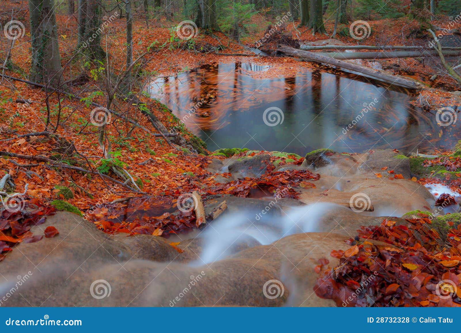 Beautiful Autumn Foliage and Mountain Stream in the Forest Stock Photo ...