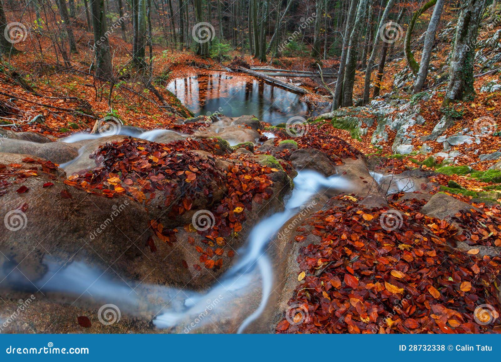 Beautiful Autumn Foliage And Mountain Stream In The Forest Stock Photo ...