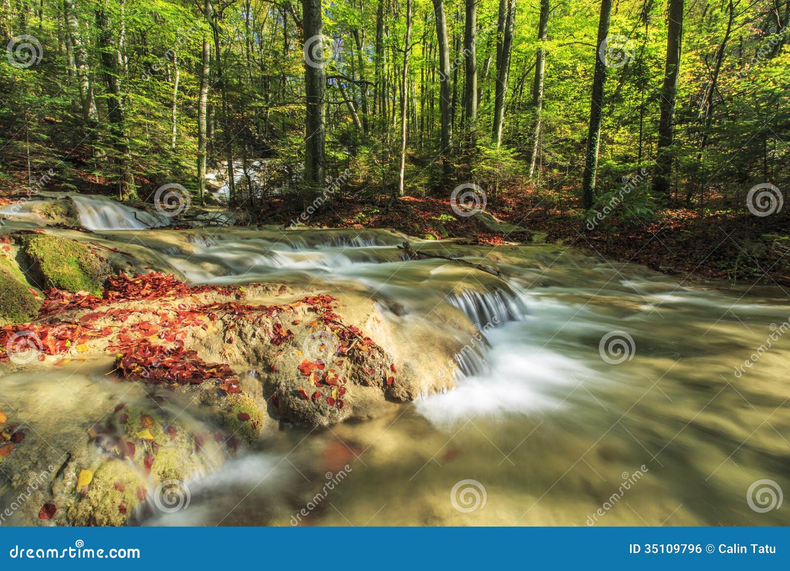 Beautiful Autumn Foliage and Mountain Stream in the Forest Stock Photo ...