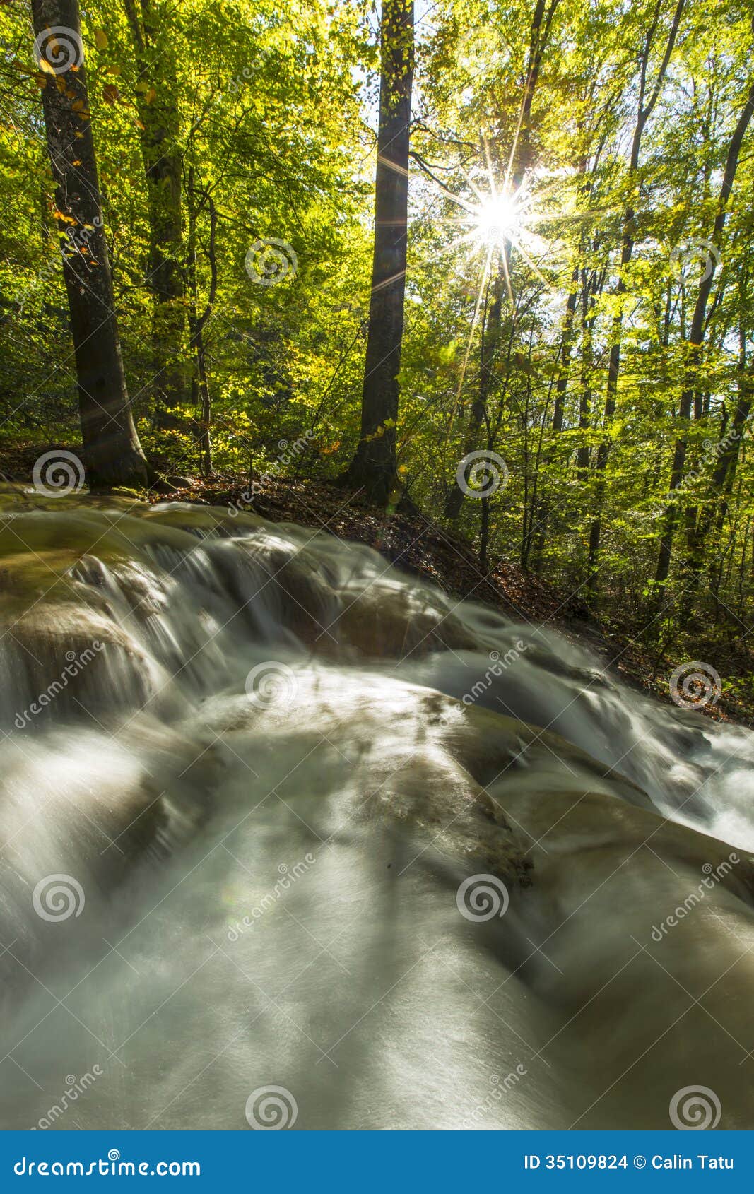 Beautiful Autumn Foliage and Mountain Stream in the Forest Stock Photo ...
