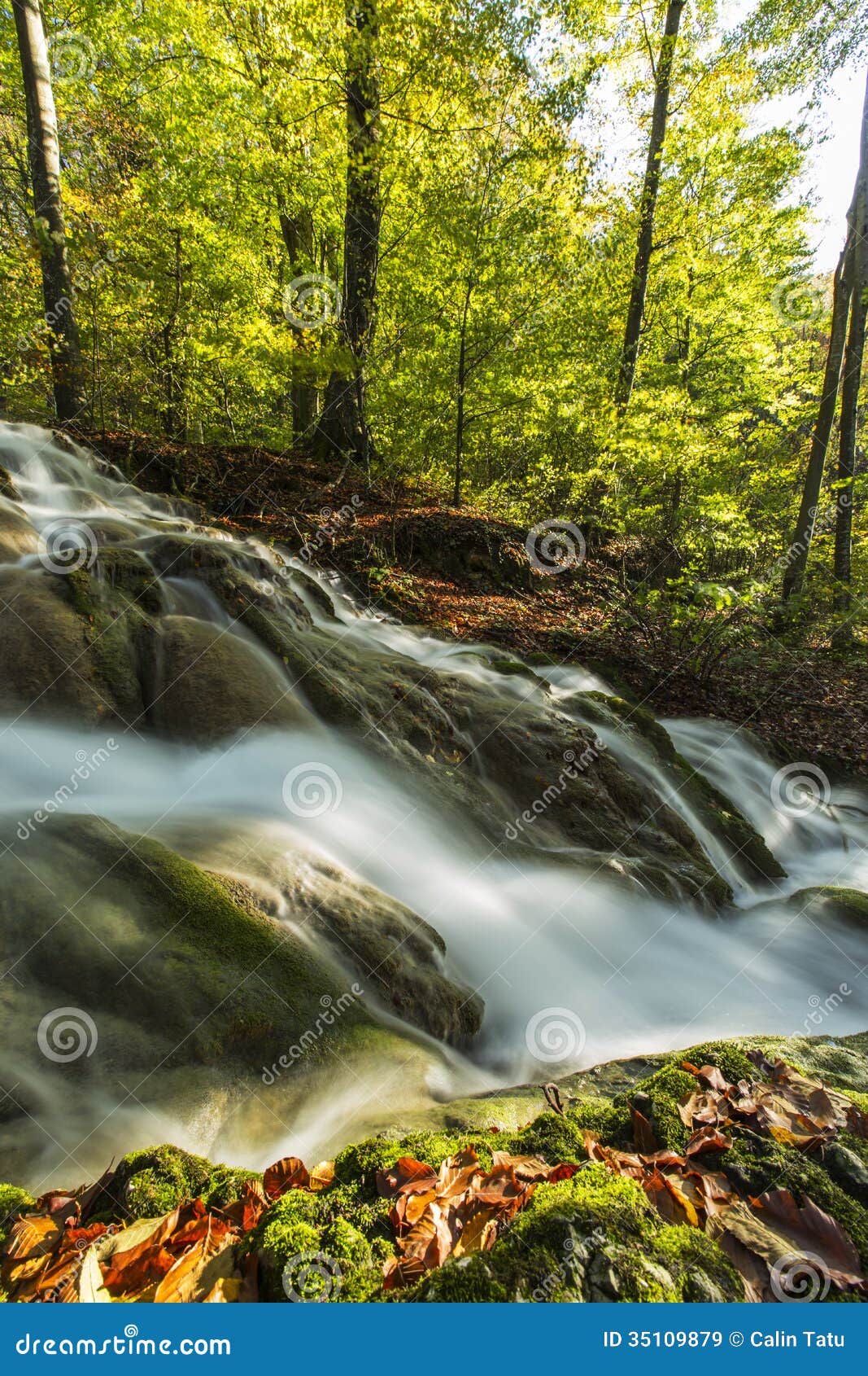 Beautiful Autumn Foliage and Mountain Stream in the Forest Stock Image ...