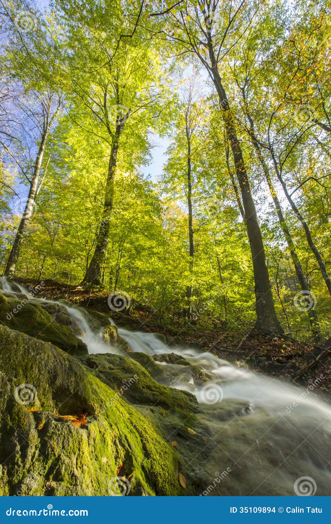 Beautiful Autumn Foliage and Mountain Stream in the Forest Stock Photo ...