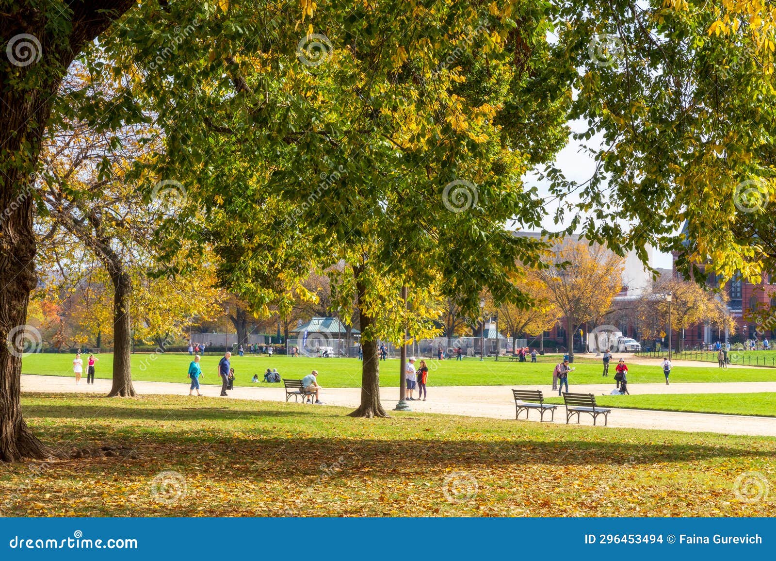 Beautiful Autumn foliage editorial stock image. Image of leaf - 296453494