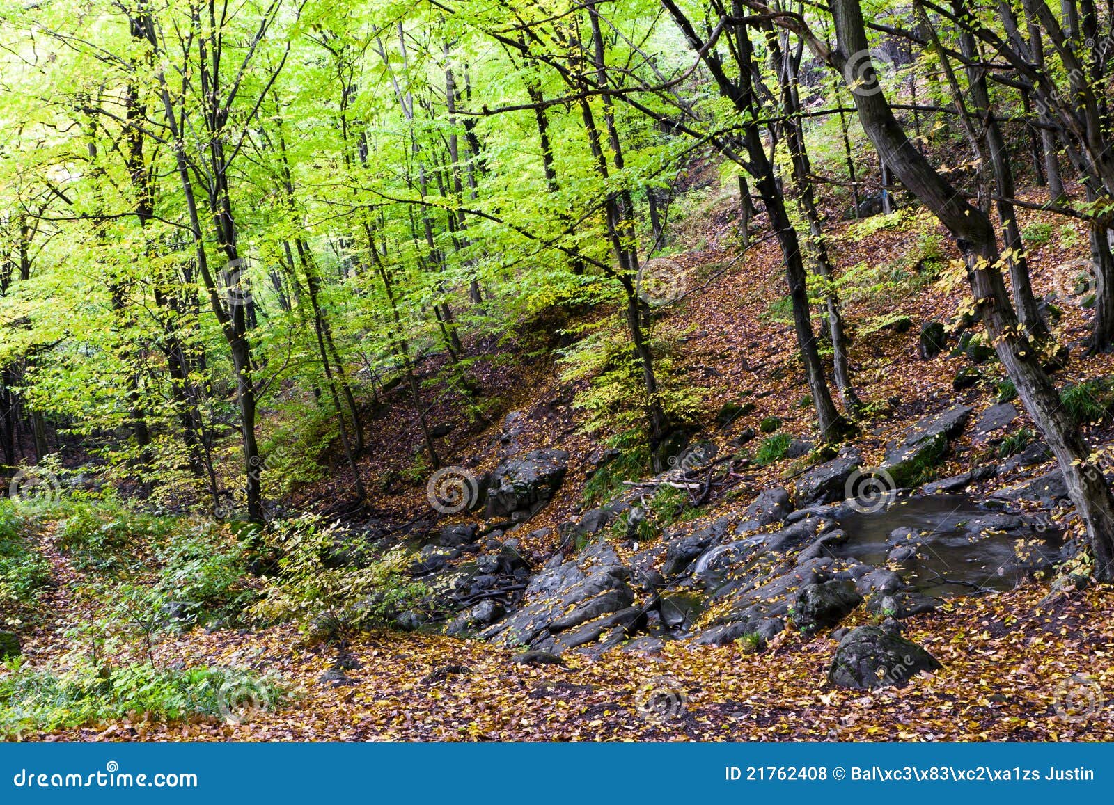 Beautiful Autumn Forest on the Mountain Cliffs. Stock Photo - Image of ...