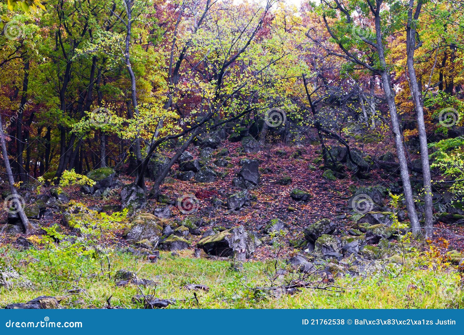 Beautiful Autumn Forest on the Mountain Cliffs. Stock Photo - Image of ...