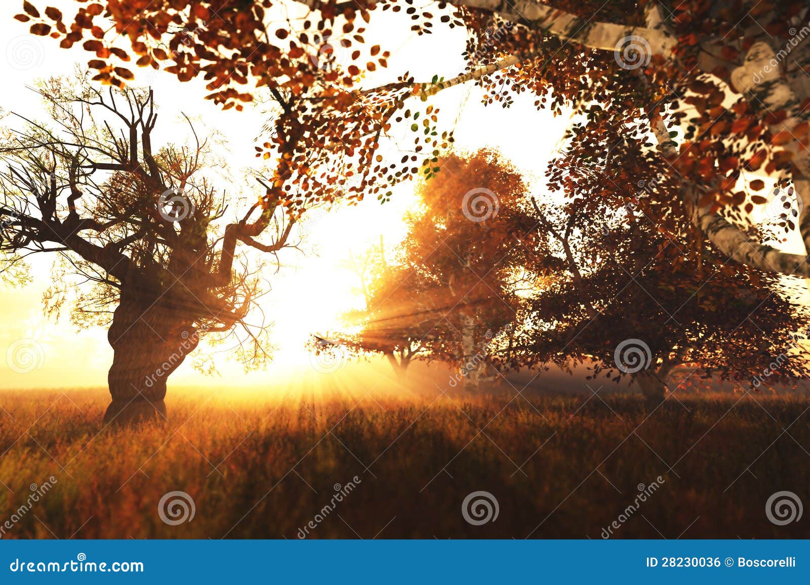 Beautiful Autumn Forest Nature Scene 3D Render 1 Stock Illustration ...
