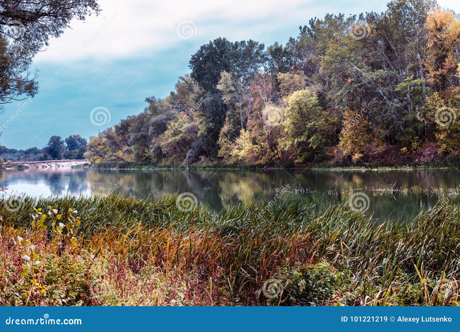Beautiful Autumn Forest at the Rivers Coast. Ukraine Stock Image ...