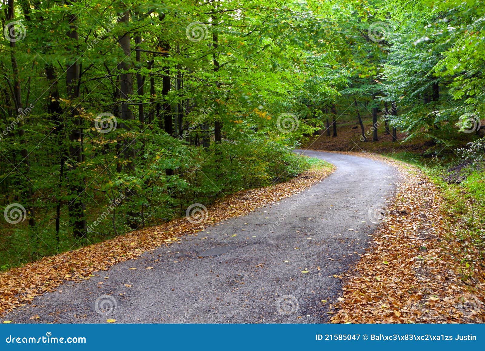Beautiful Autumn Forest, Winding Road in it. Stock Image - Image of ...