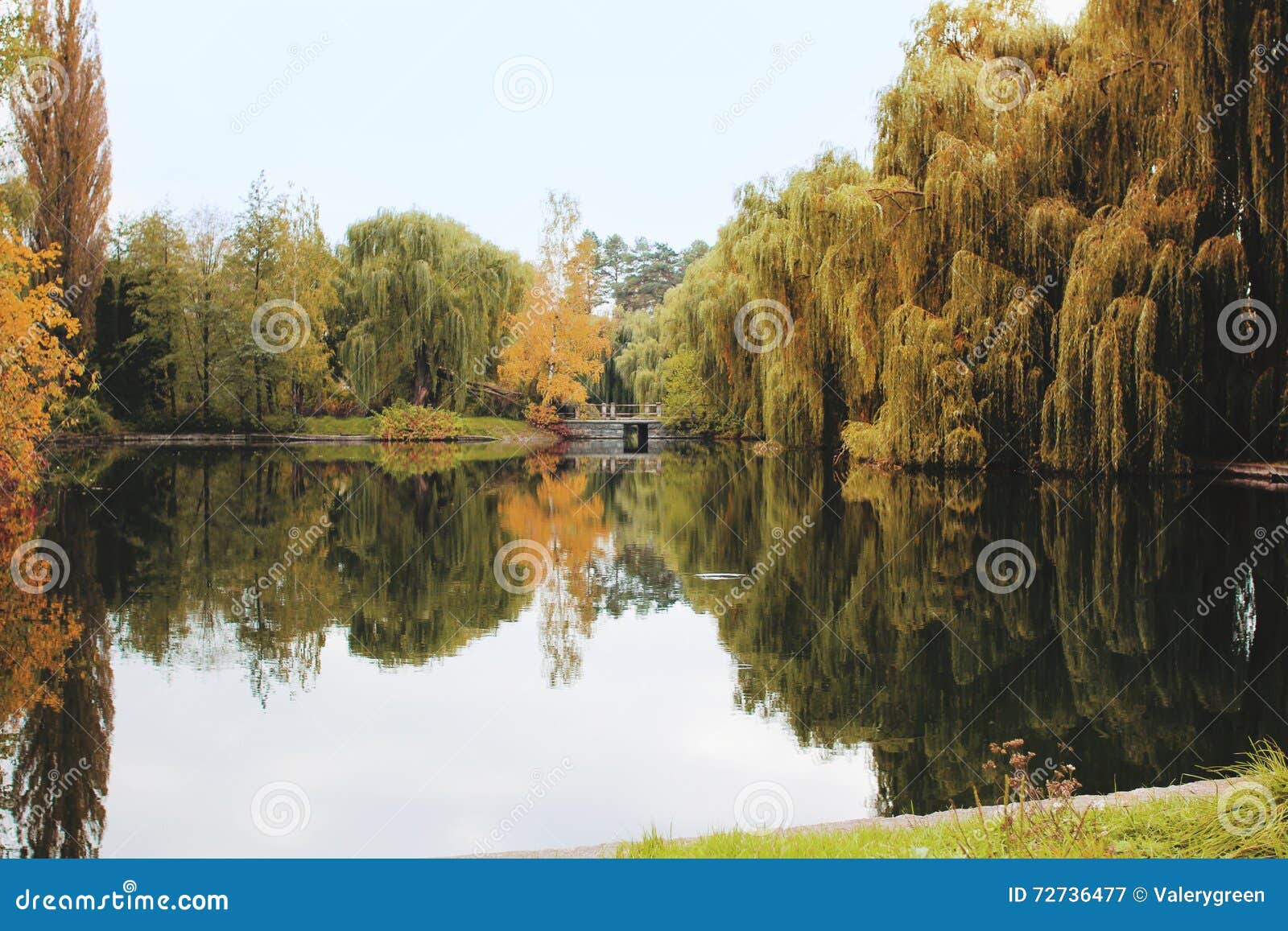 Beautiful Autumn Landscape with Bridge Across the River Stock Image ...