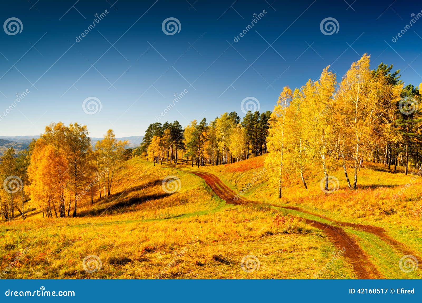 Beautiful Autumn Landscape. Fall Season Stock Image - Image of outdoor ...