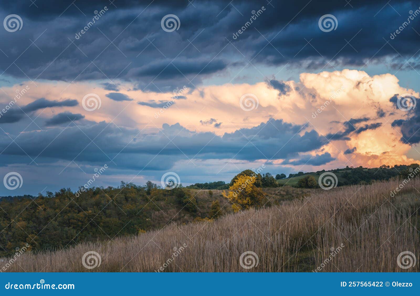 Beautiful Autumn Landscape, a Field at Sunset with a Bright Cloudy Sky ...