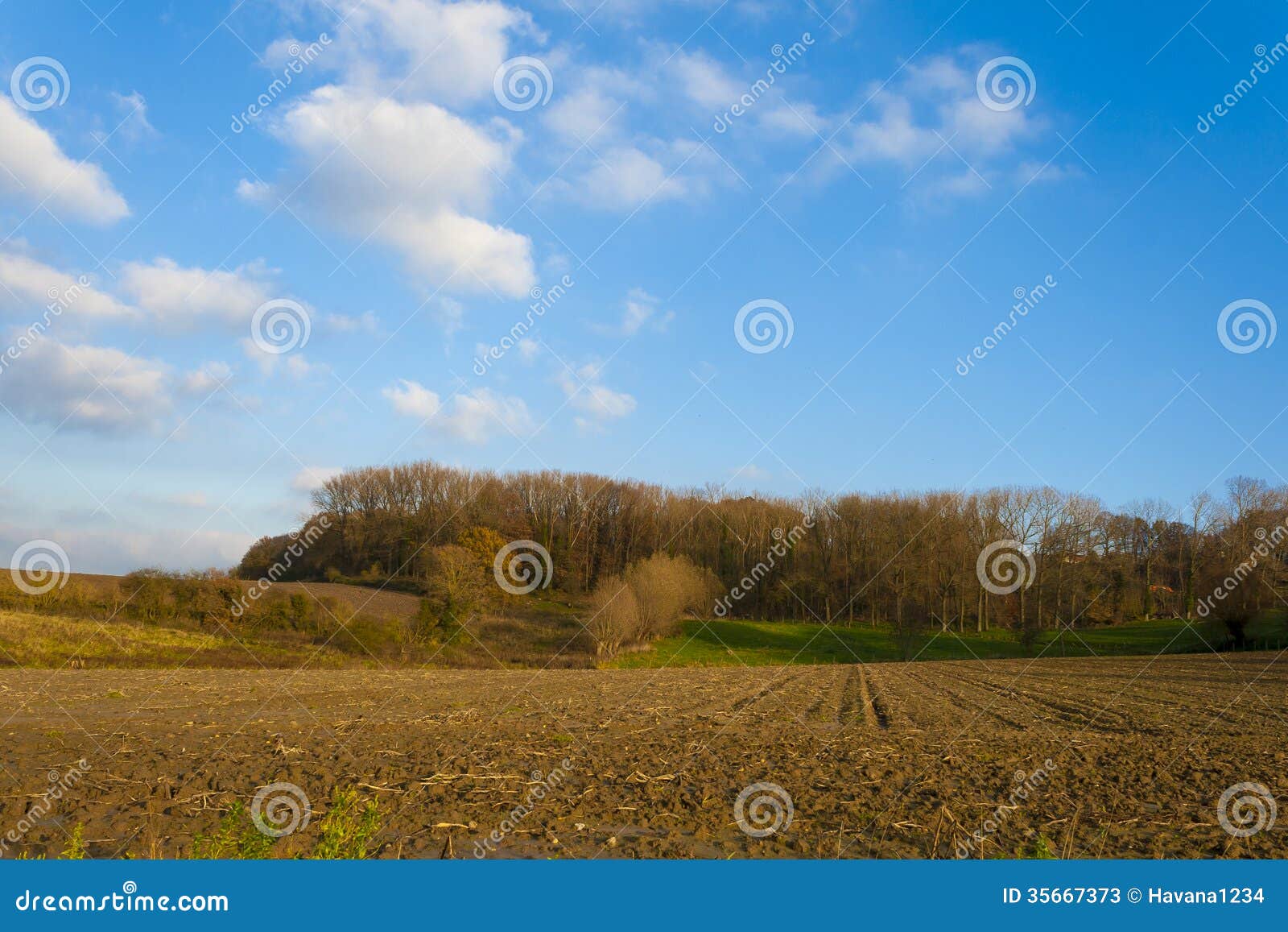 Beautiful Autumn Landscape in Flanders Stock Image - Image of blue ...
