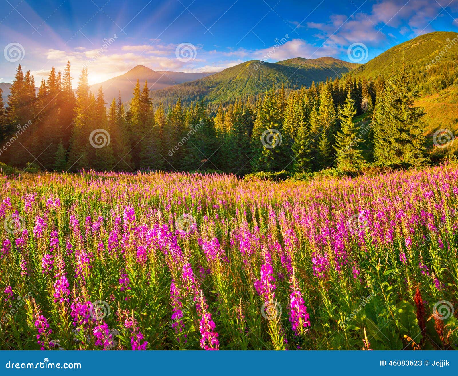 Beautiful Autumn Landscape in Mountains with Pink Flowers. Stock Image ... Beautiful Autumn Landscape in Mountains with Pink Flowers. Stock Image ...