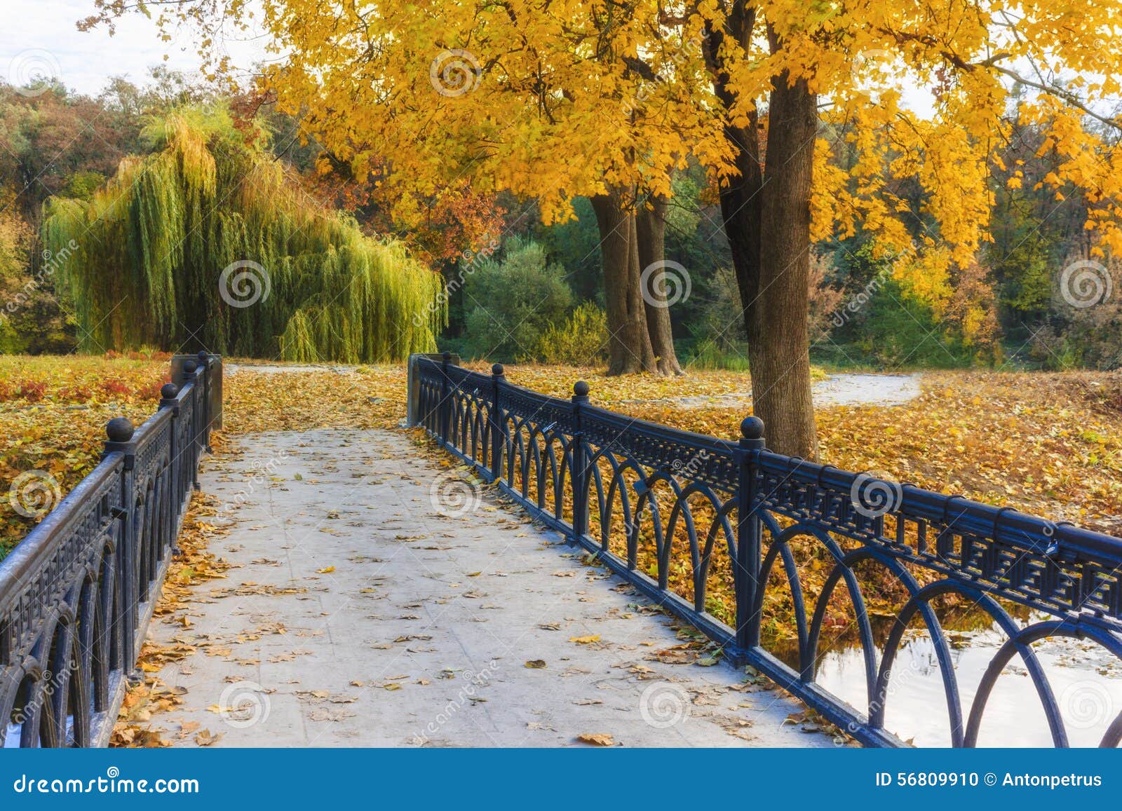 Beautiful Autumn Landscape with River, Bridge and Trees. Stock Photo ...