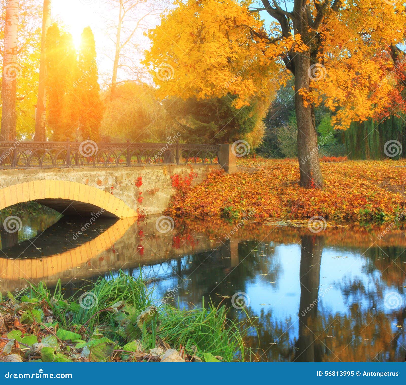 Beautiful Autumn Landscape with River, Bridge and Trees. Stock Image ...