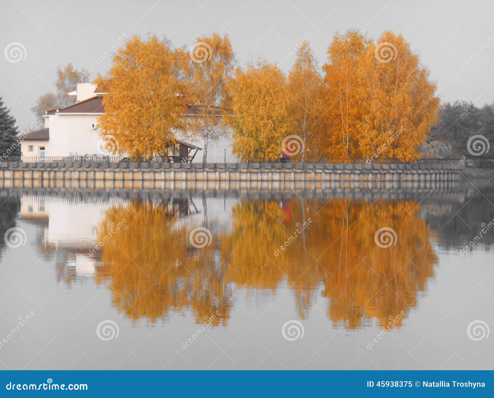 Beautiful Autumn Landscape of Trees Reflected in Water Stock Image ...