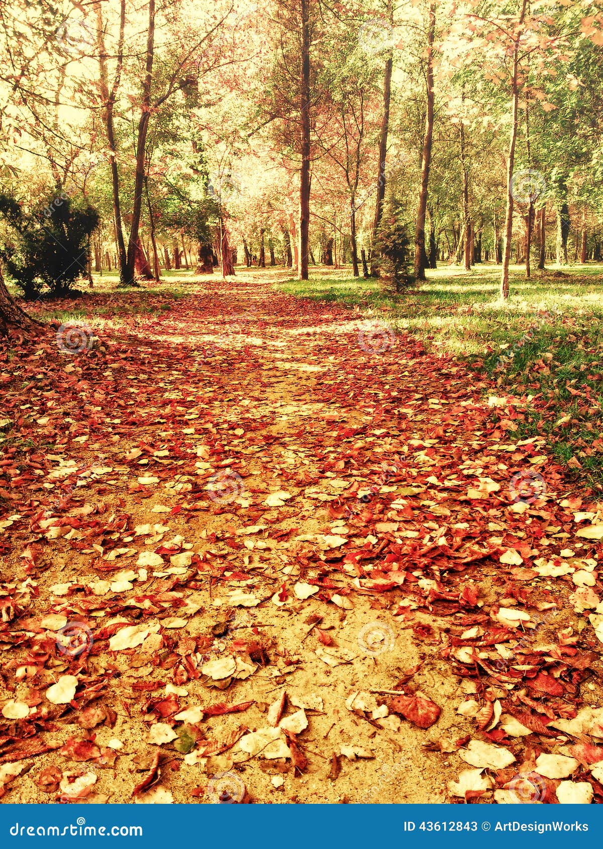 Beautiful Autumn Leaves in Park Path Stock Image - Image of leaves ...