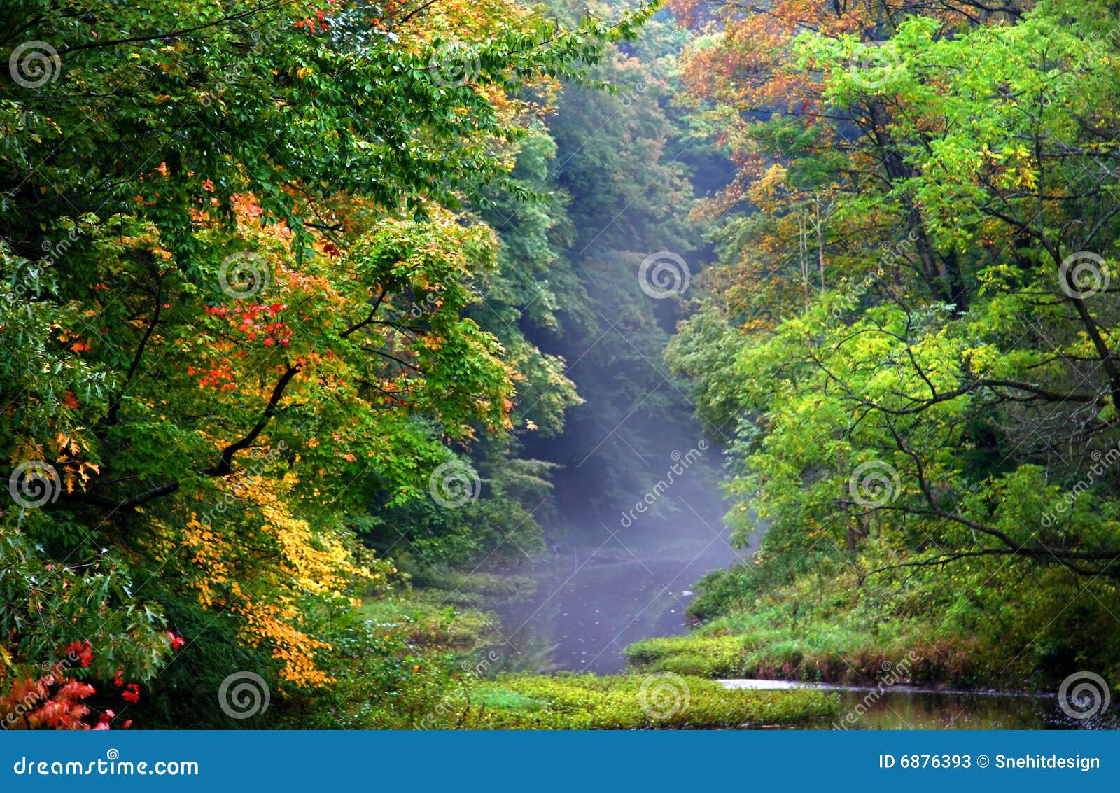 Beautiful Autumn Morning stock image. Image of misty, hiking - 6876393
