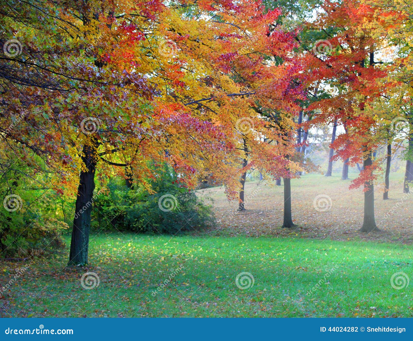 Beautiful autumn morning stock photo. Image of conceptual - 44024282