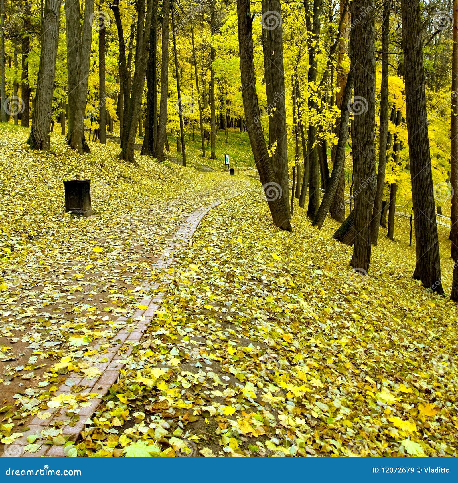 Beautiful autumn park stock image. Image of land, color - 12072679