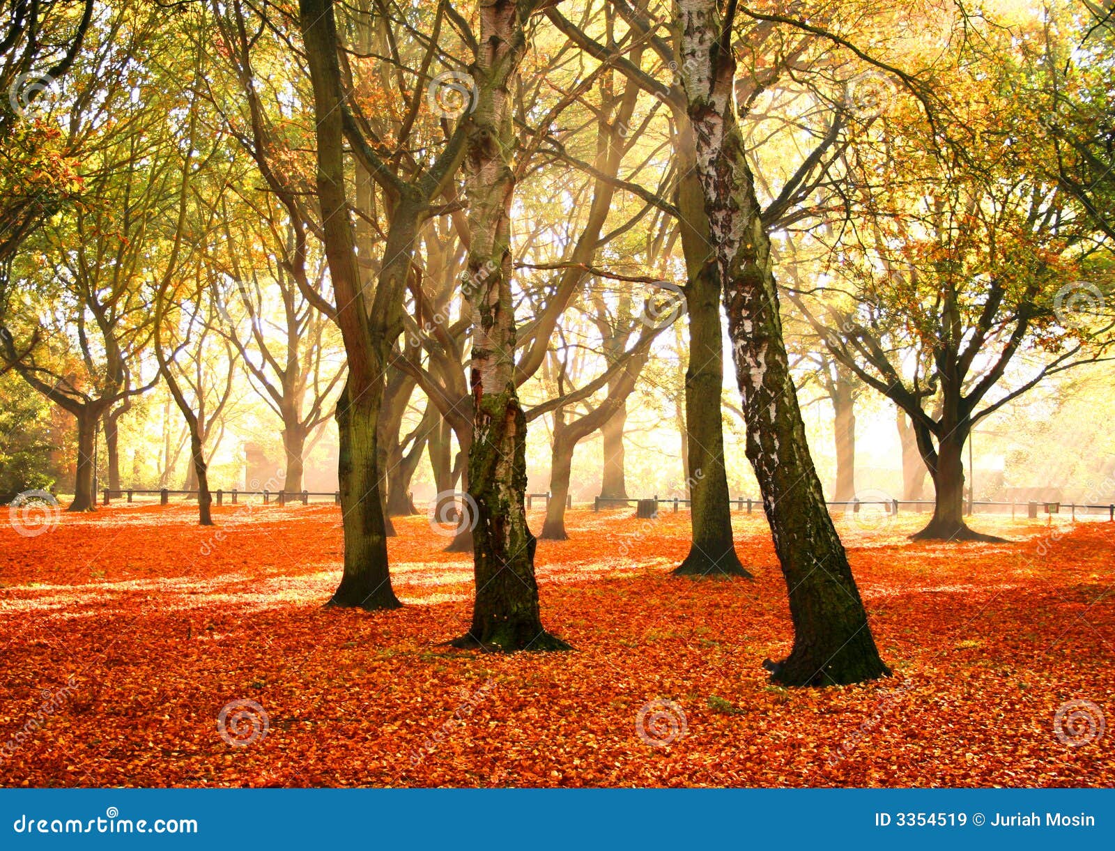 Beautiful autumn park stock image. Image of mythical, display - 3354519