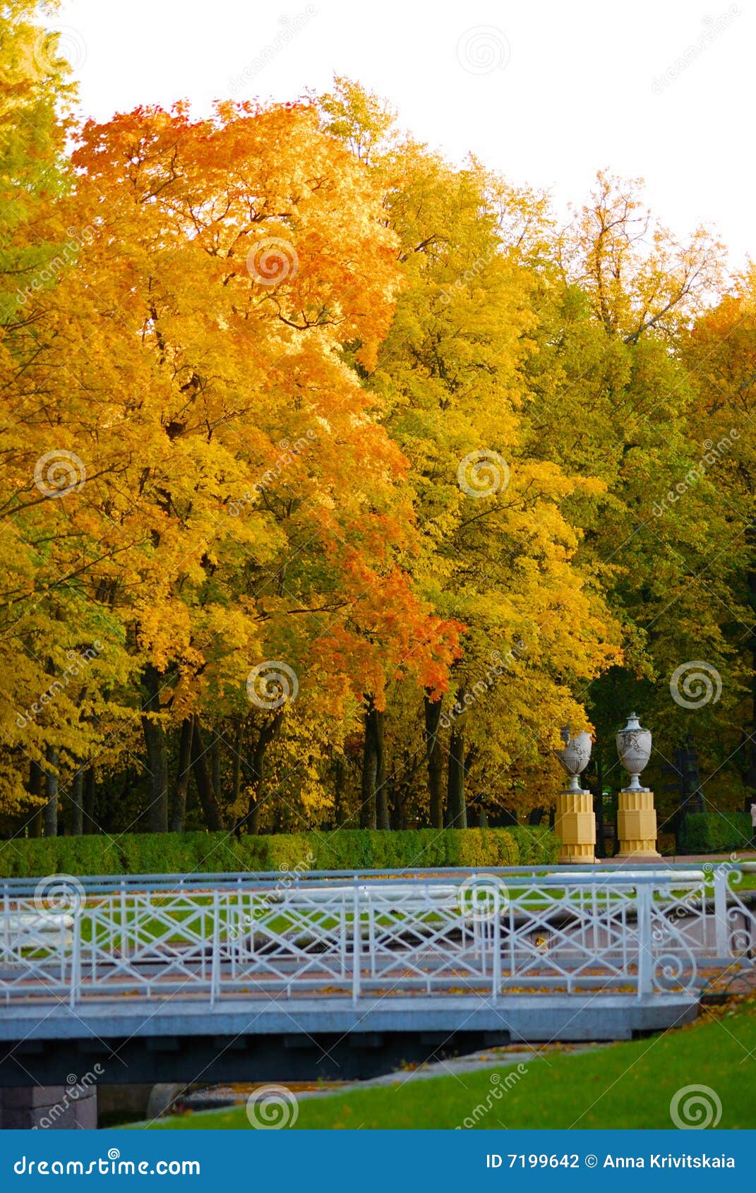 Beautiful autumn park stock photo. Image of lake, colors - 7199642