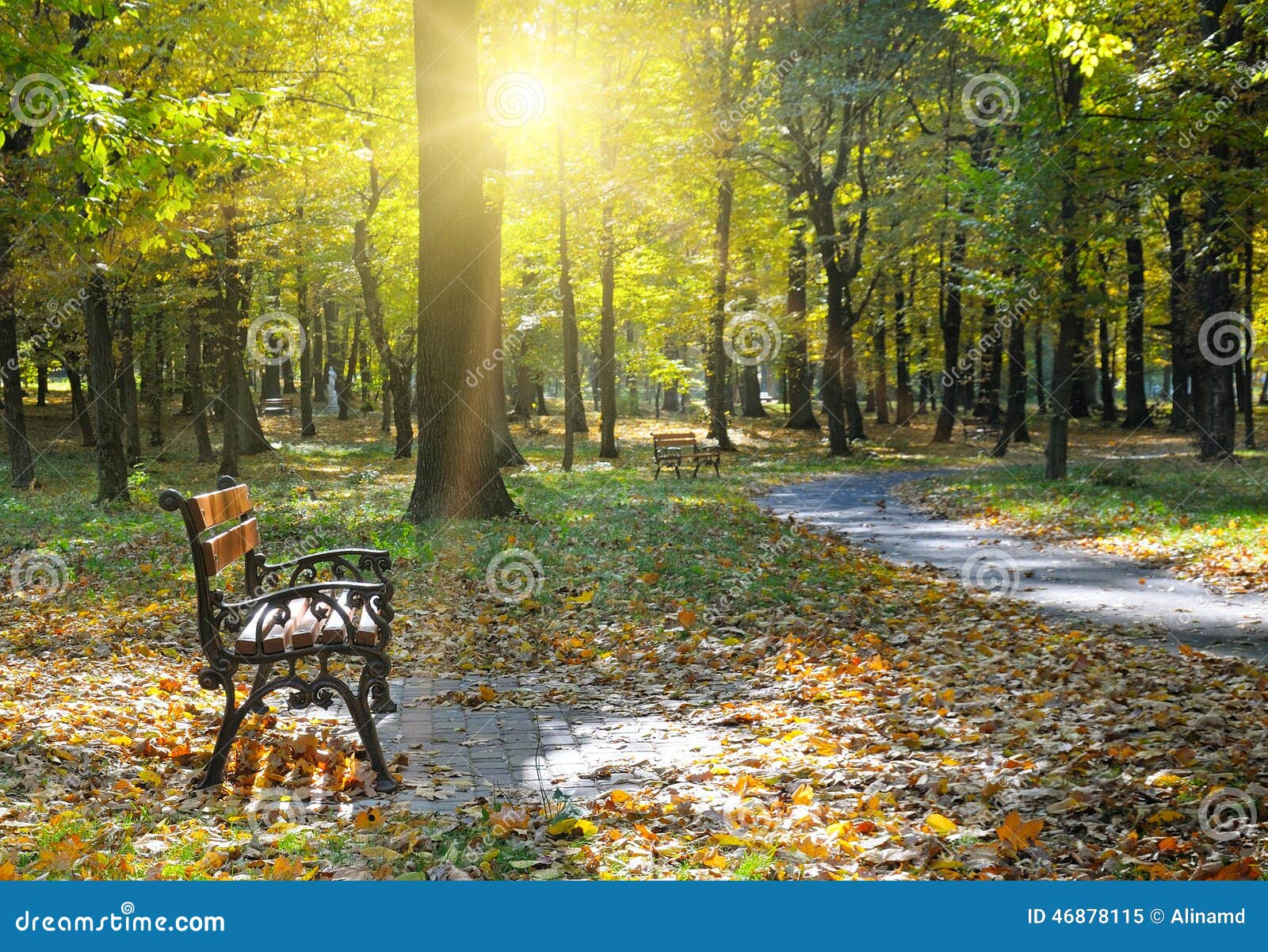 Beautiful Autumn Park and Benches Stock Image - Image of color, alley ...