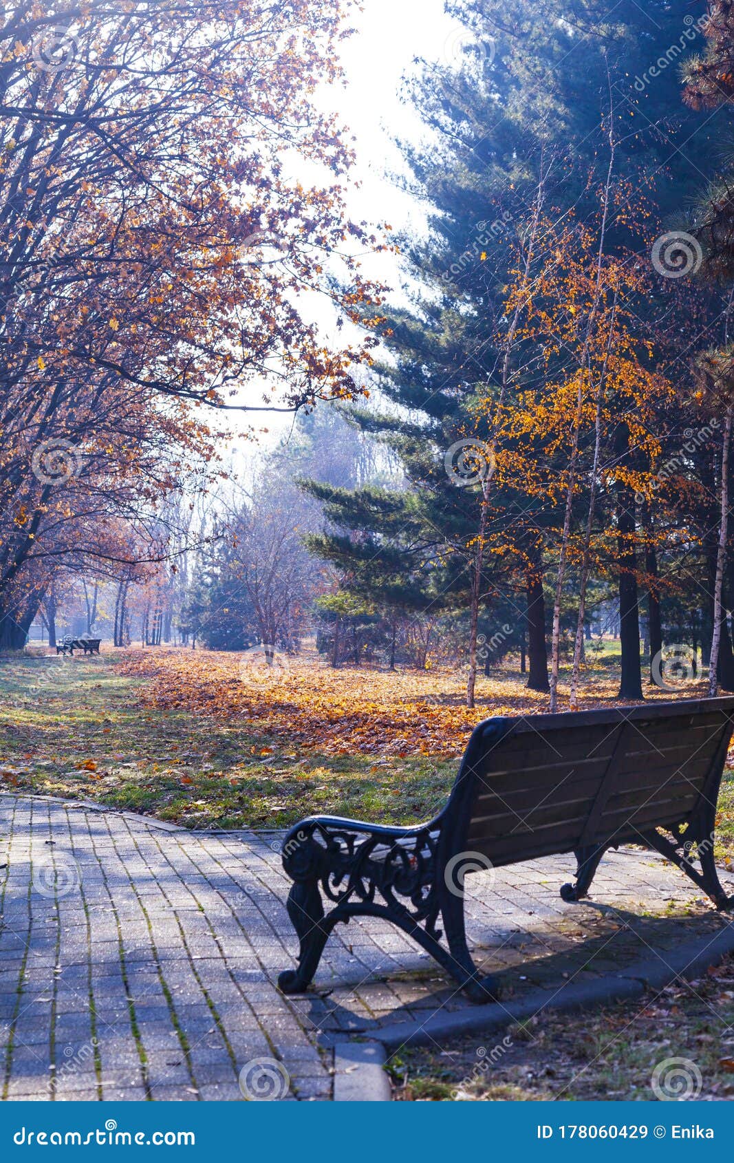 Beautiful autumn park stock image. Image of fall, outdoors - 178060429