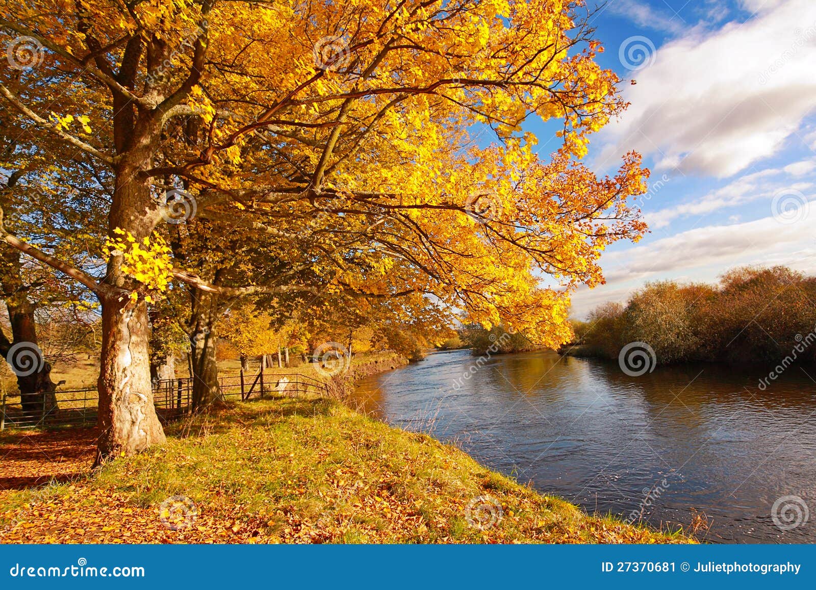 Beautiful Autumn in the Park, Scotland Stock Image - Image of organic ...