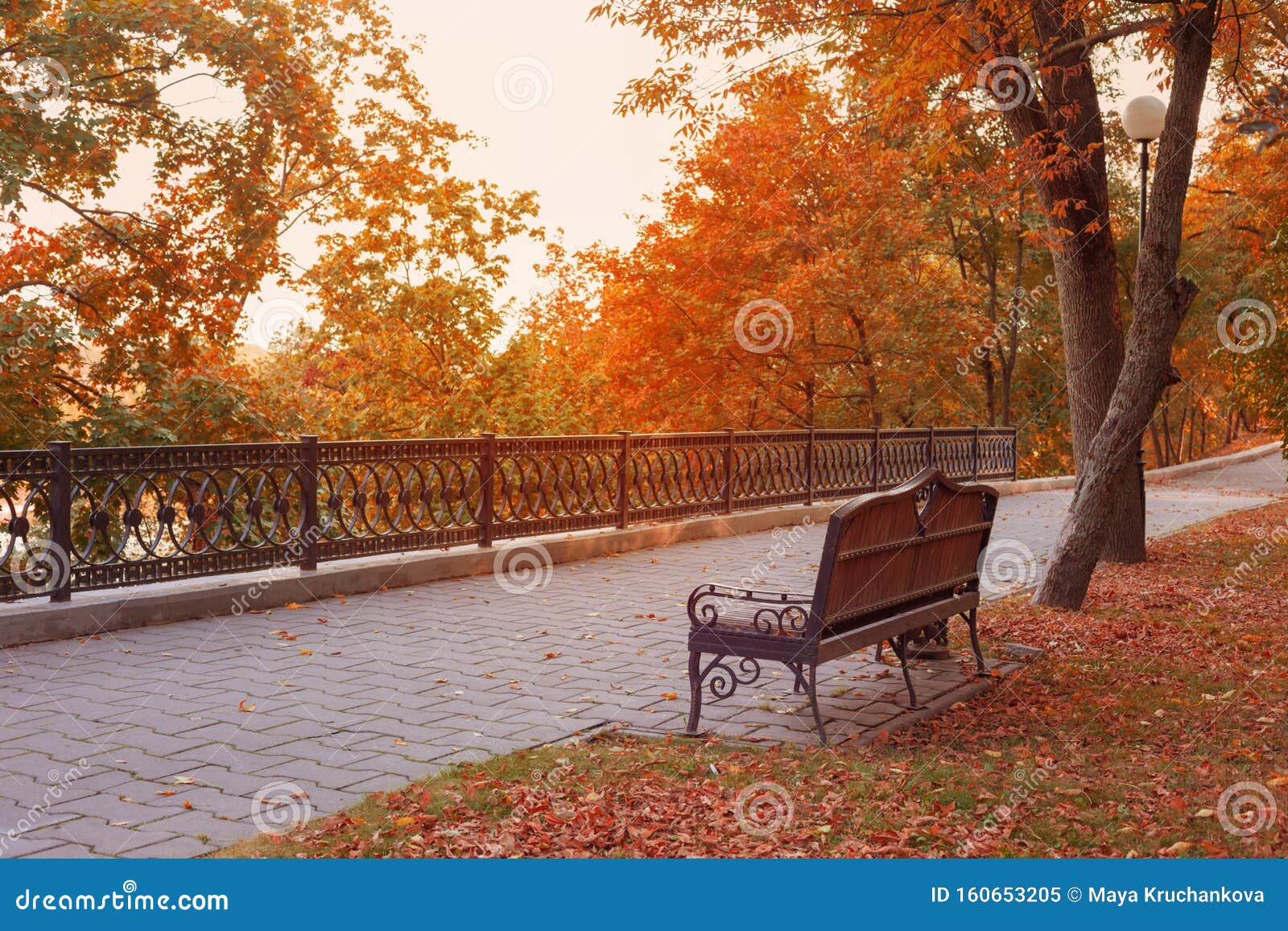 Beautiful Autumn Park in Sunlight Stock Image - Image of leisure ...