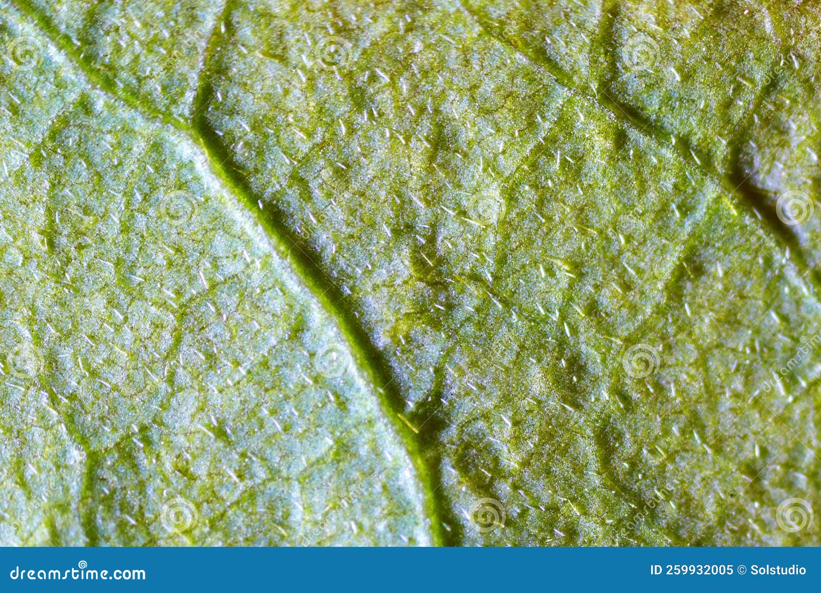 Beautiful autumn patterns stock image. Image of decoration - 259932005