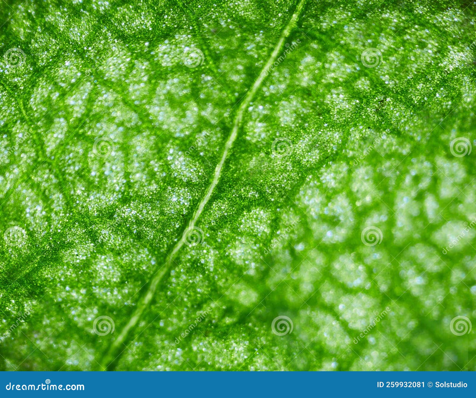 Beautiful autumn patterns stock image. Image of micro - 259932081