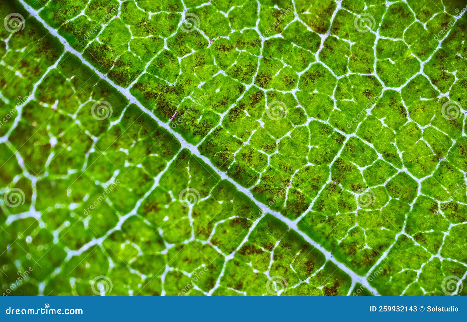 Beautiful autumn patterns stock image. Image of abstract - 259932143