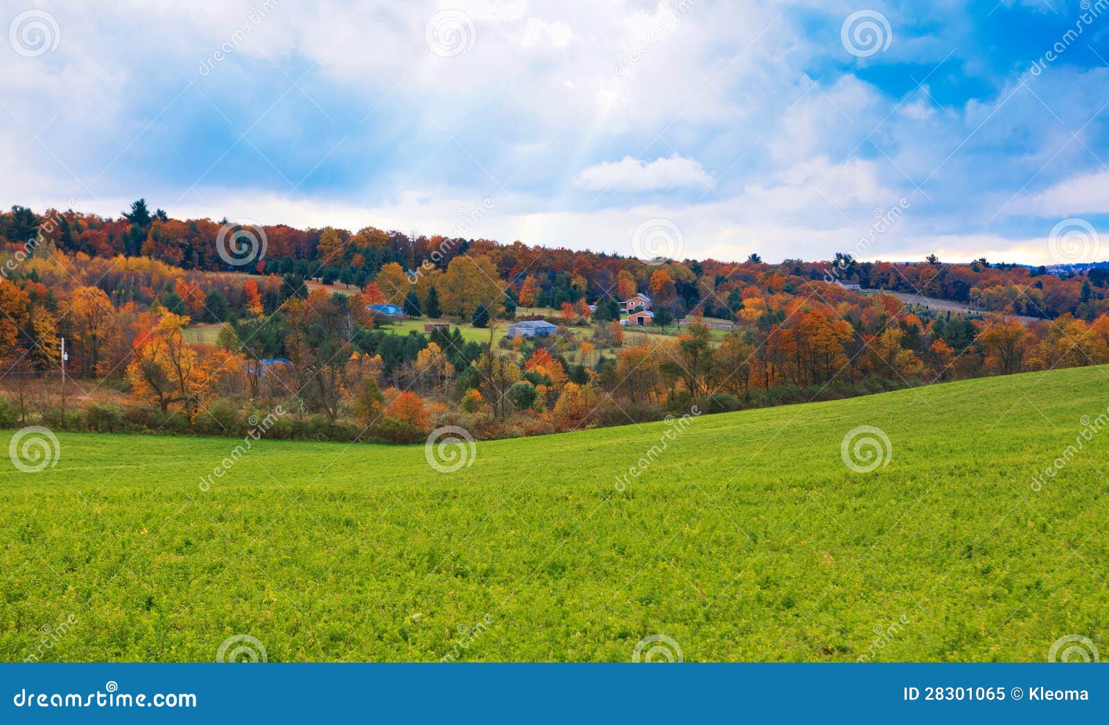 Beautiful Autumn in Pocono Mountains PA. Stock Image - Image of grass ...