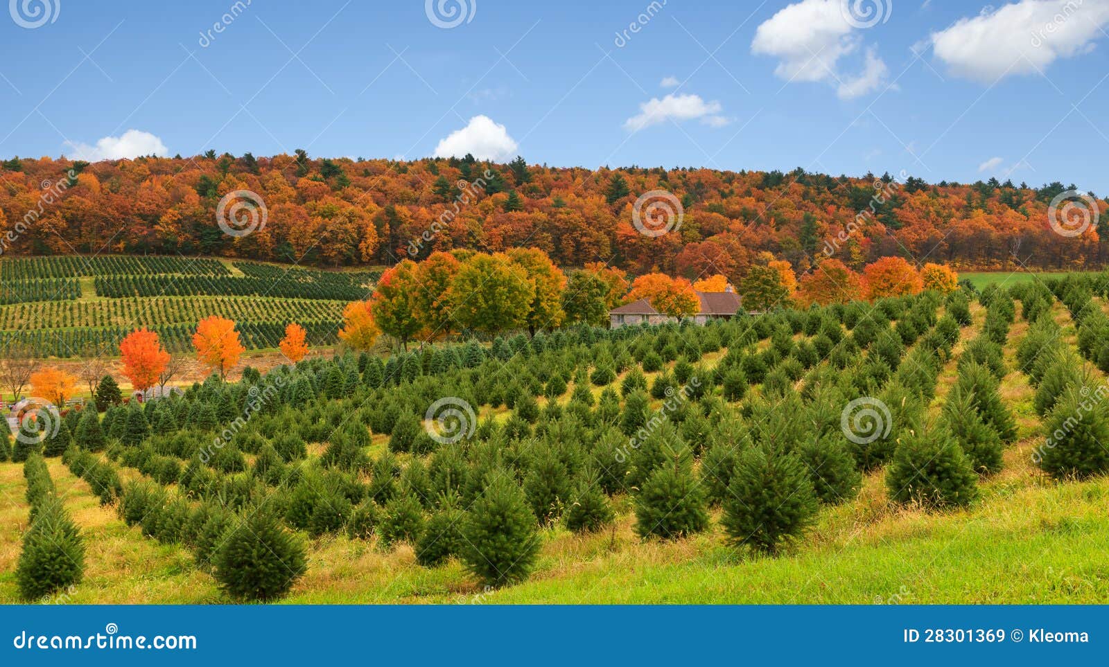 Beautiful Autumn in Pocono Mountains PA. Stock Image - Image of fall ...