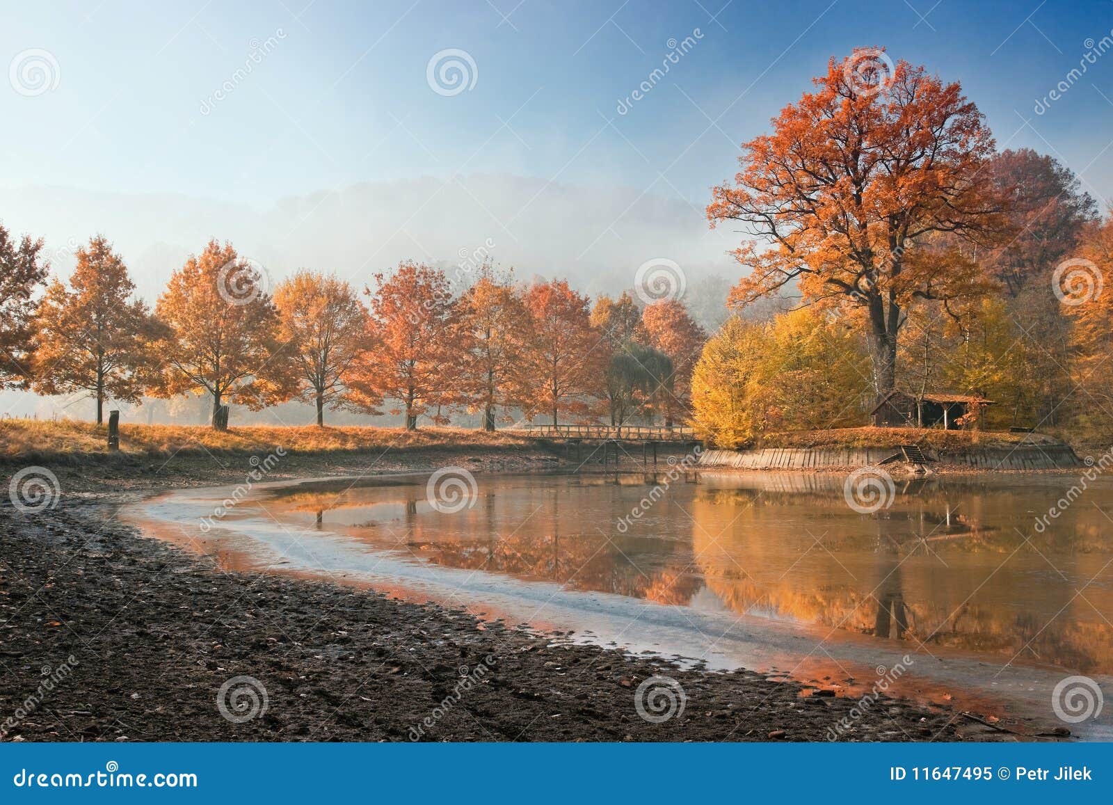 Beautiful autumn on pond stock image. Image of leaves - 11647495
