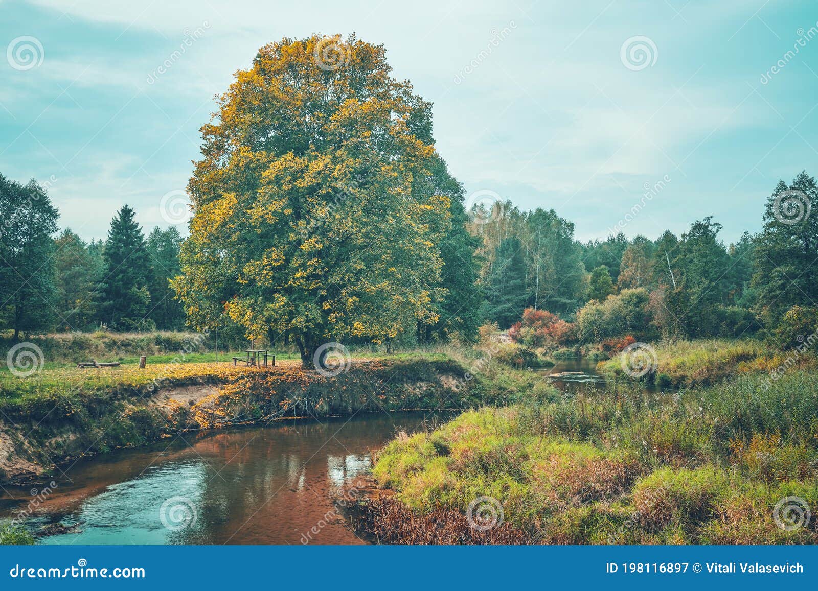 A Beautiful Autumn River Flows in a Forest Valley Stock Image - Image ...