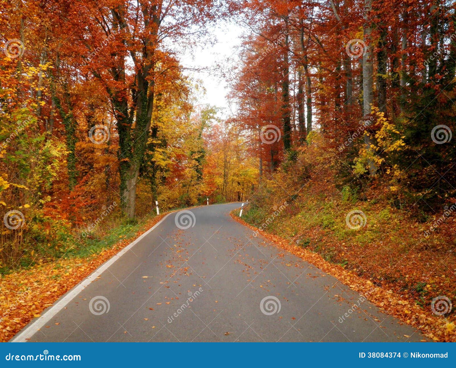 Beautiful Autumn Road stock photo. Image of trees, curve - 38084374